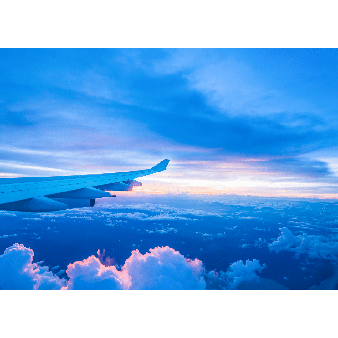 How To Apply For TSA PreCheck On The Skip App