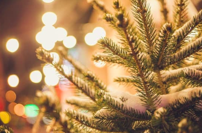 A Look Back at 2022 and Looking Ahead from the Skip Team